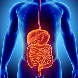 Bio-Path Medical Group | Anatomical & Clinical Pathology